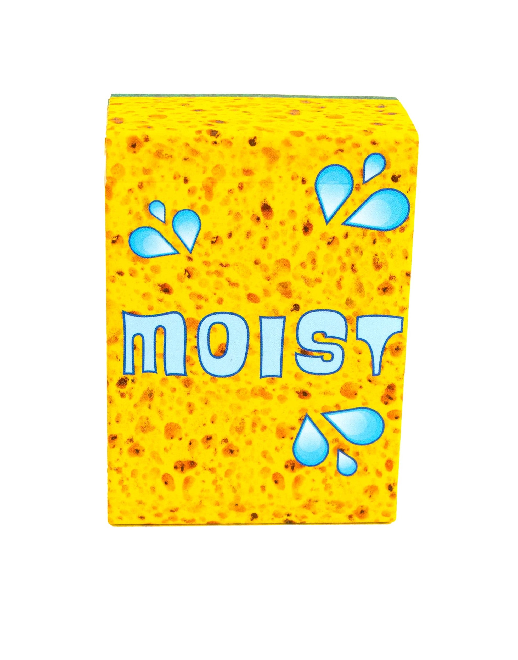 Moist! ages 16+ – Pom's Place
